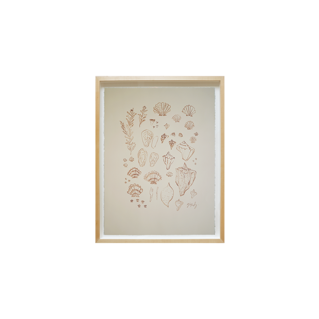 Shell Study - No. 3 - Blakely Made