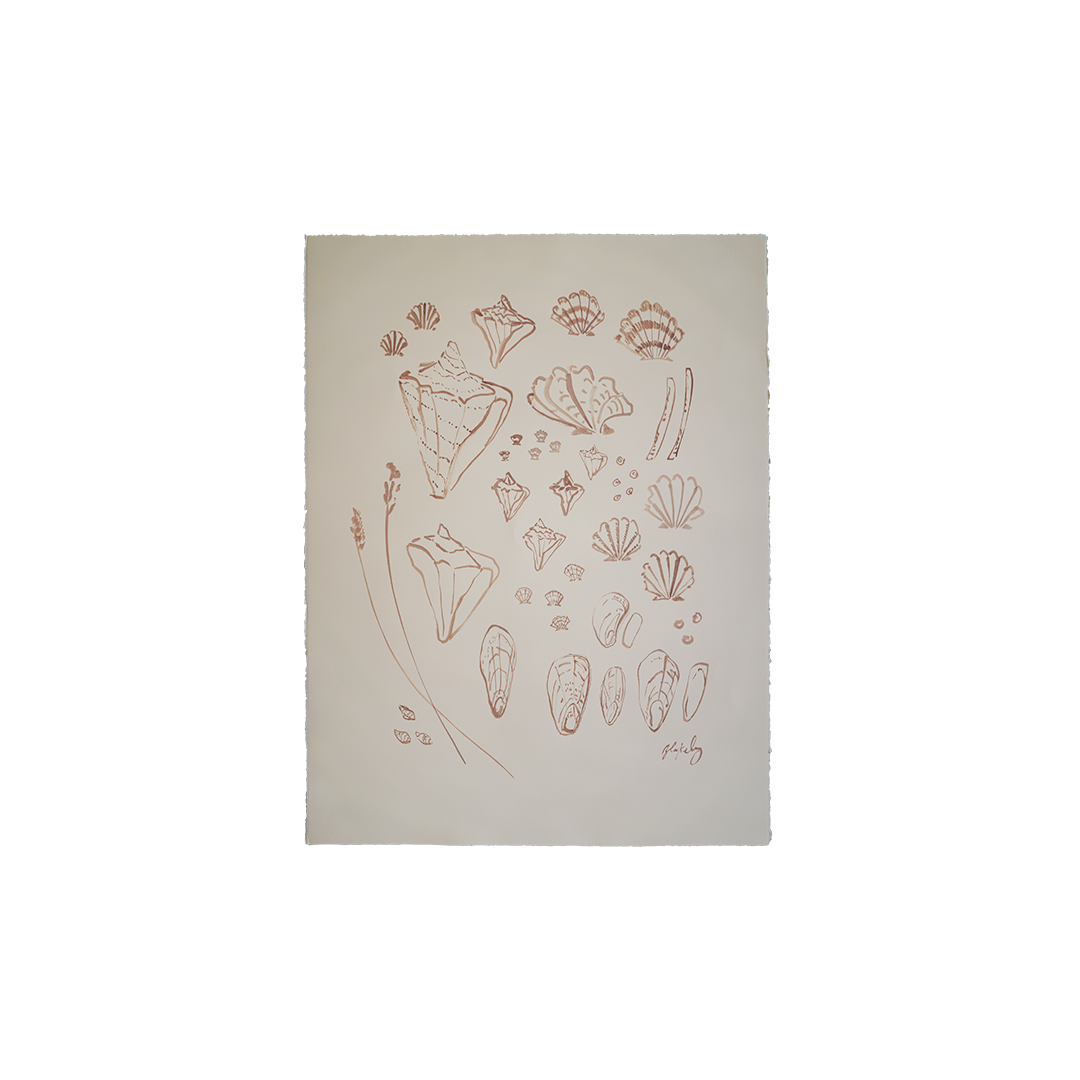 Shell Study - No. 1 - Blakely Made
