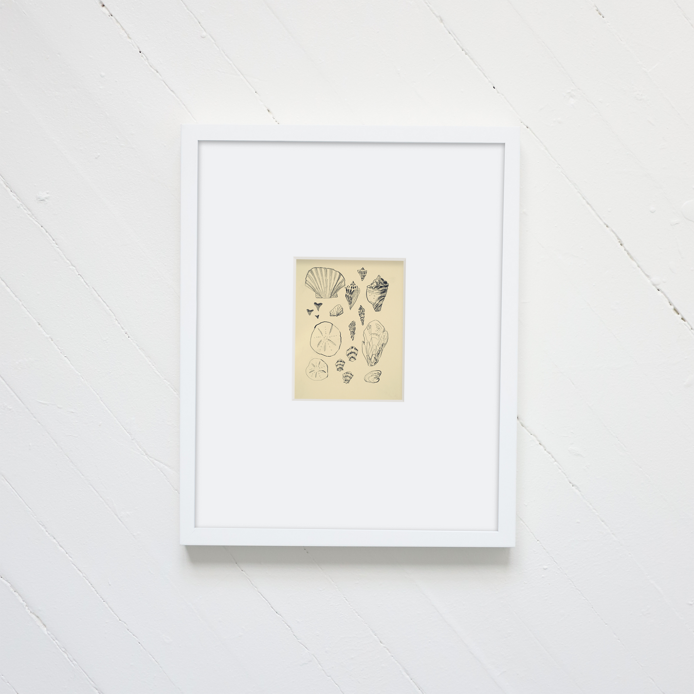 "Shell iii" Print - Blakely Made